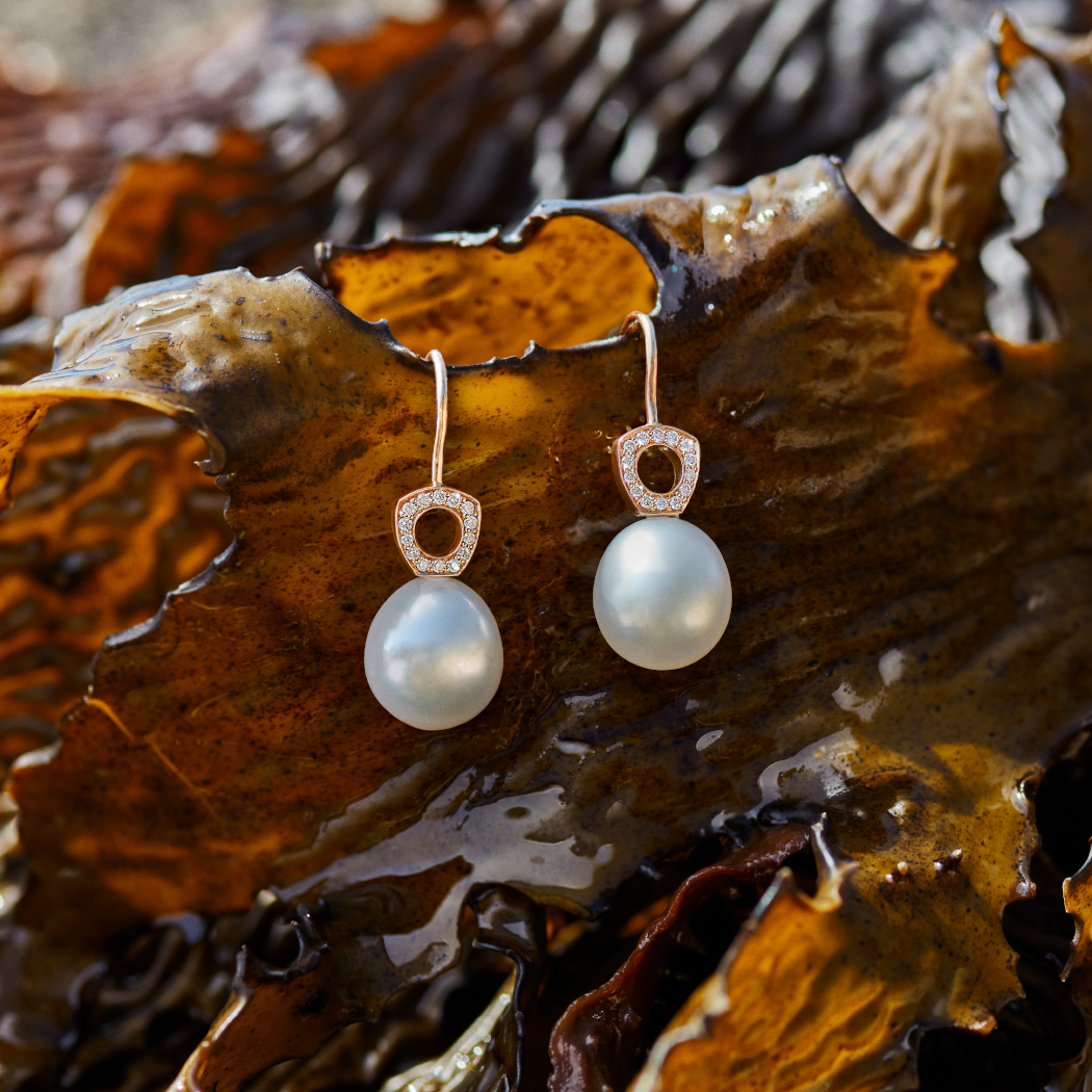 Hope Pearl and Diamond Earrings | Kailis Jewellery